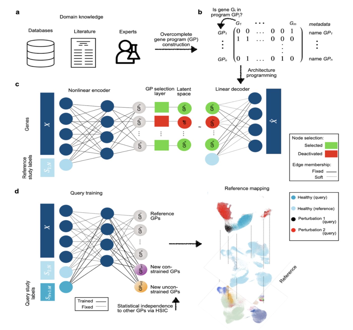 New preprint on biologically informed deep learning to infer gene ...